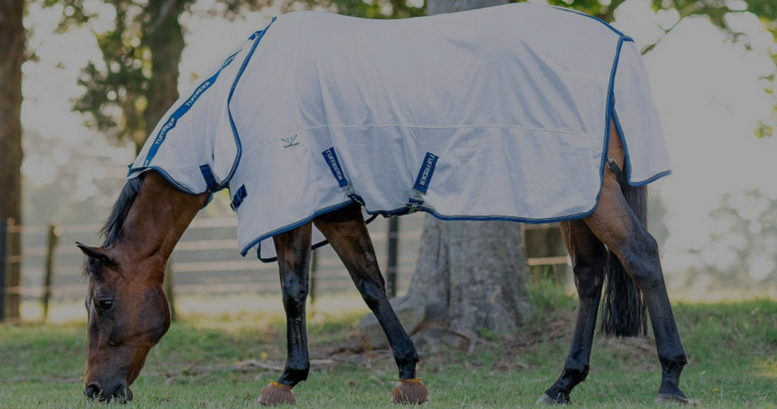 The Fly Protection Products Our Customers Love – Breeches.com
