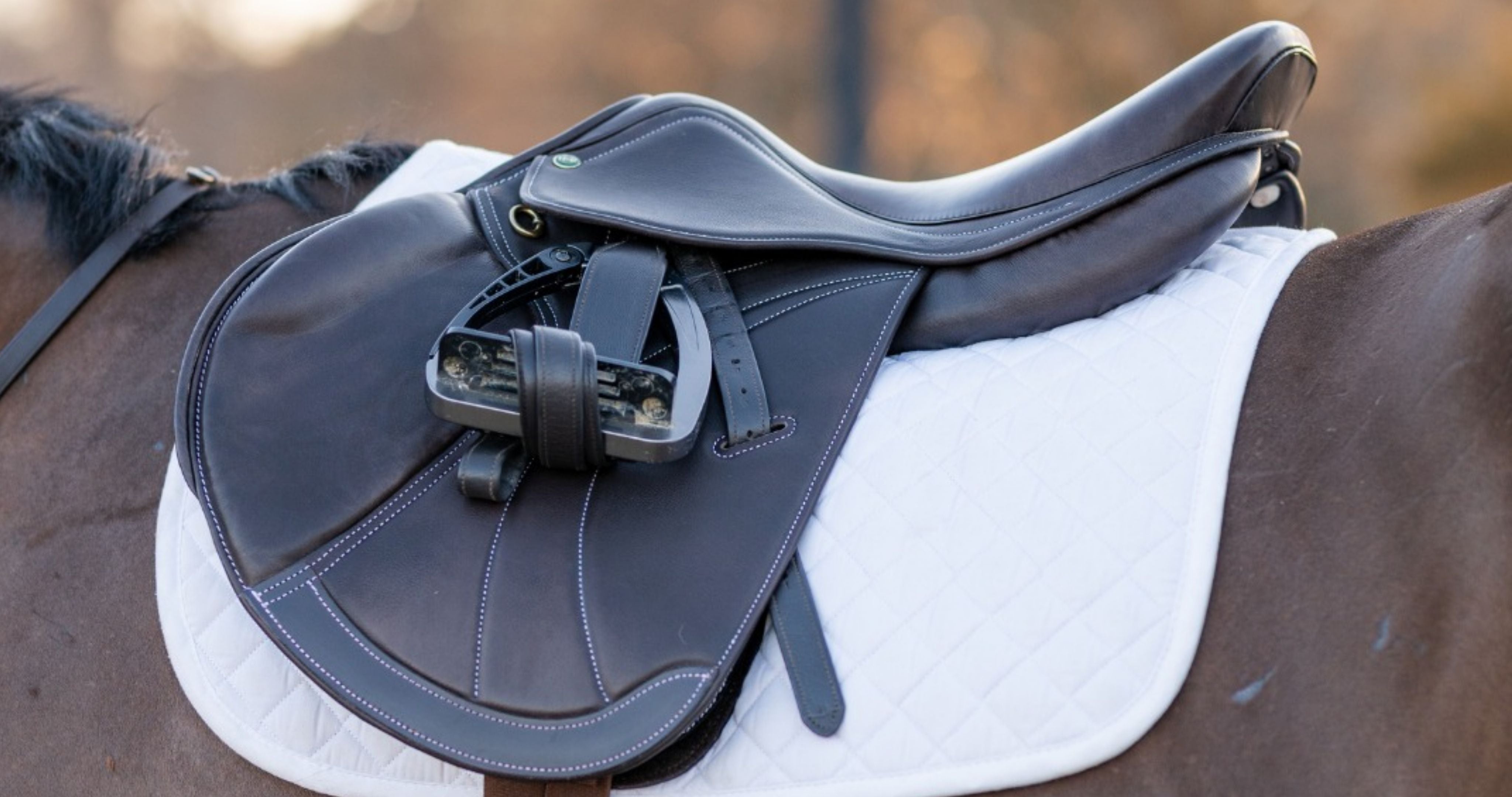 Finding the “Proper” Saddle: Check Saddle Fit to Prioritize Equine Com ...