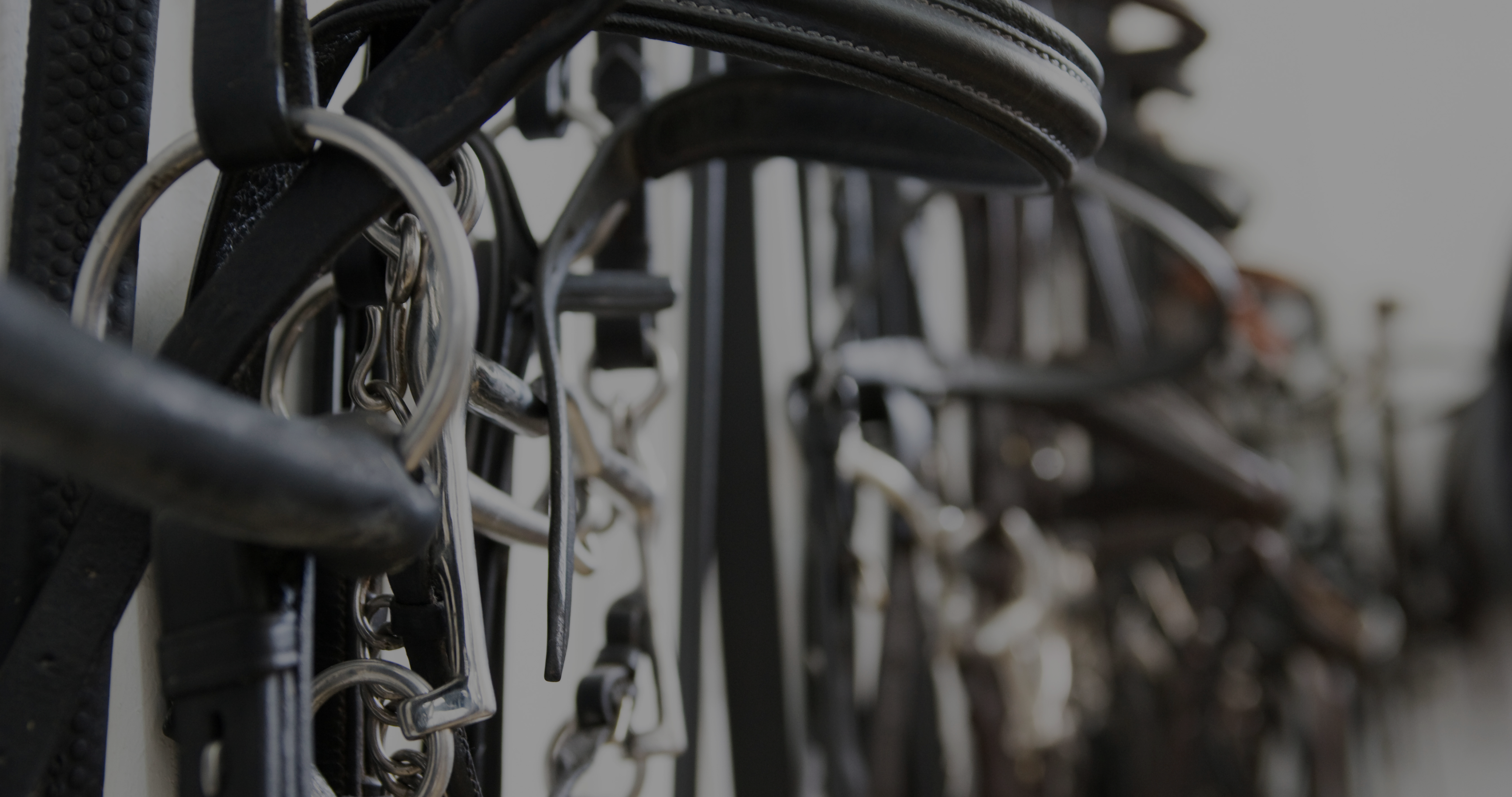 How to Clean Your Bridle – Breeches.com