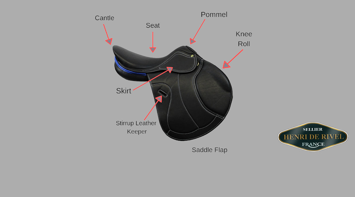 Guide to parts and functions of the English Saddle | Breeches.com