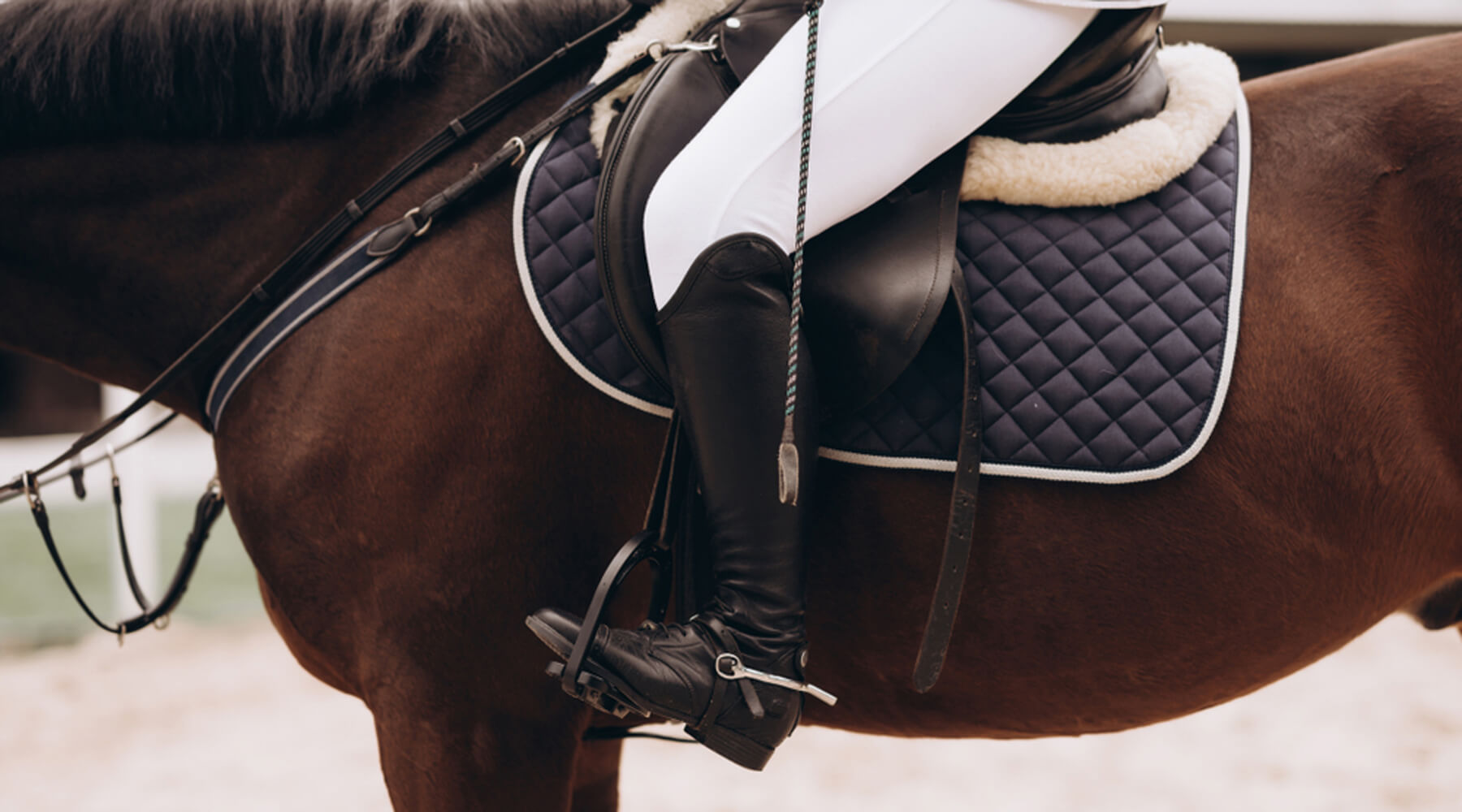 How to fit a Saddle (Step by Step Guide)? – Breeches.com